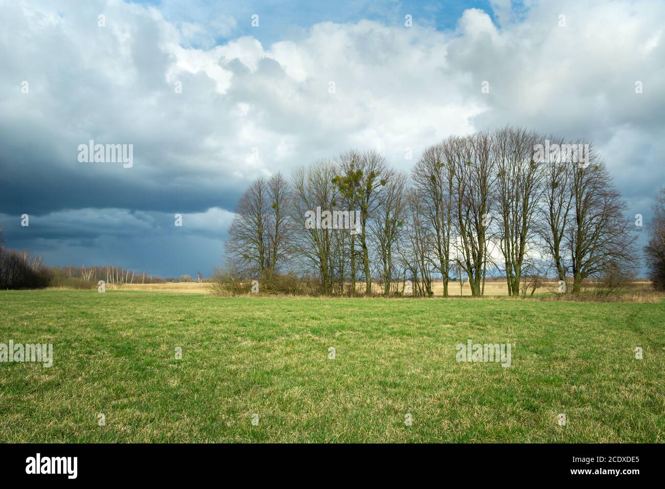 Trees landscape sky day hi-res stock photography and images - Alamy