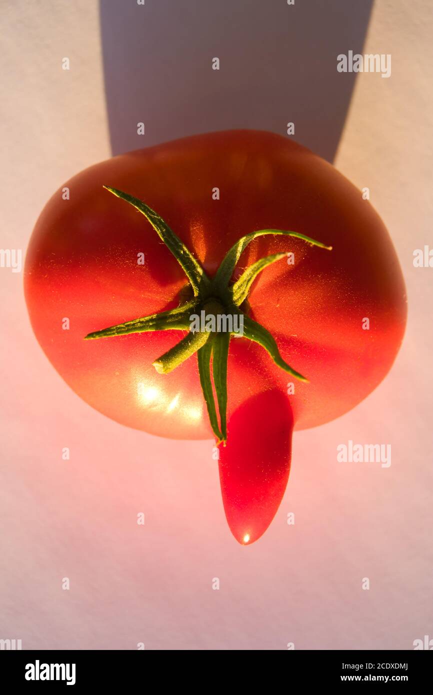 Ripe juicy deformed tomato isolated on white background Stock Photo - Alamy
