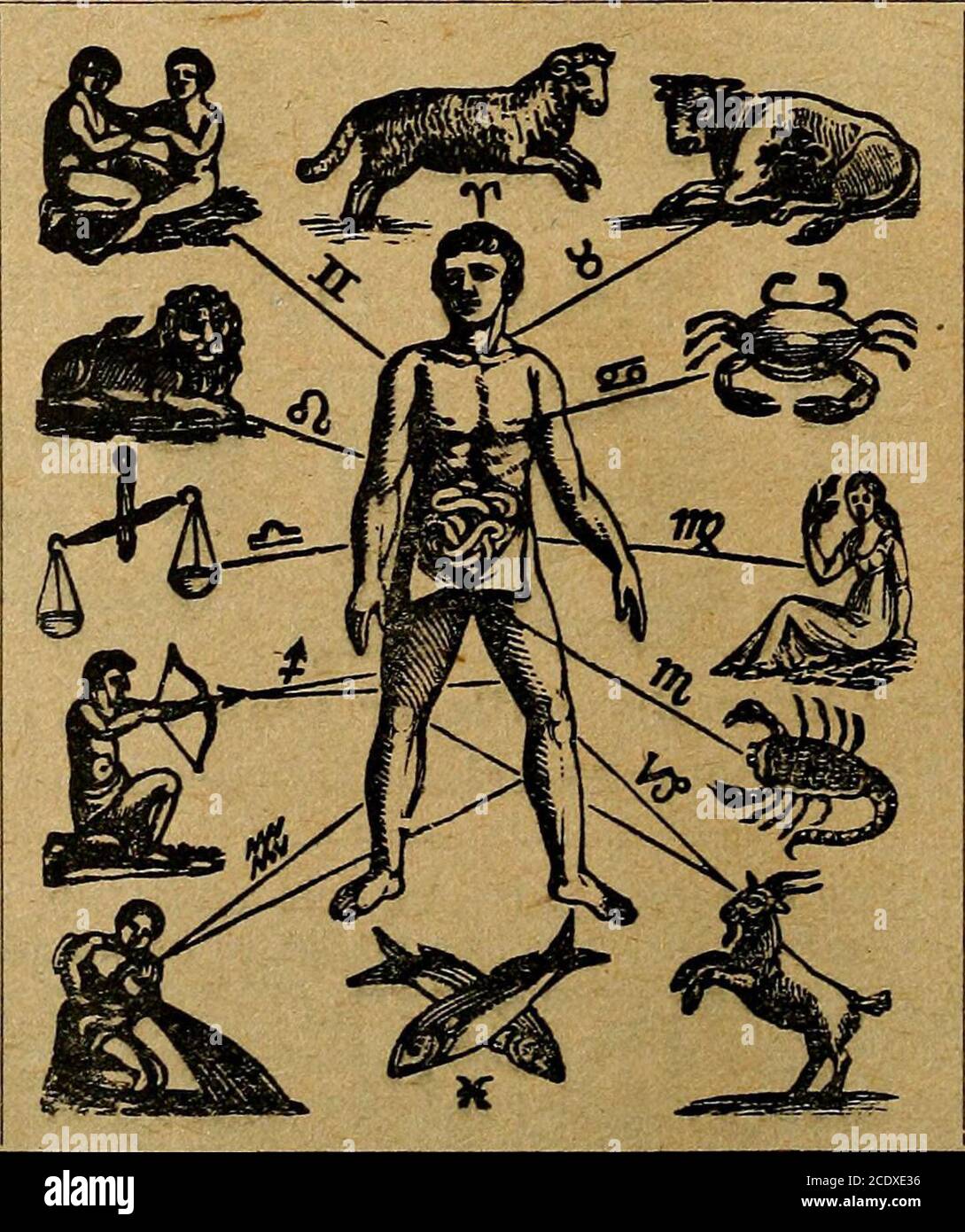 15 minute cycle hi-res stock photography and images - Alamy