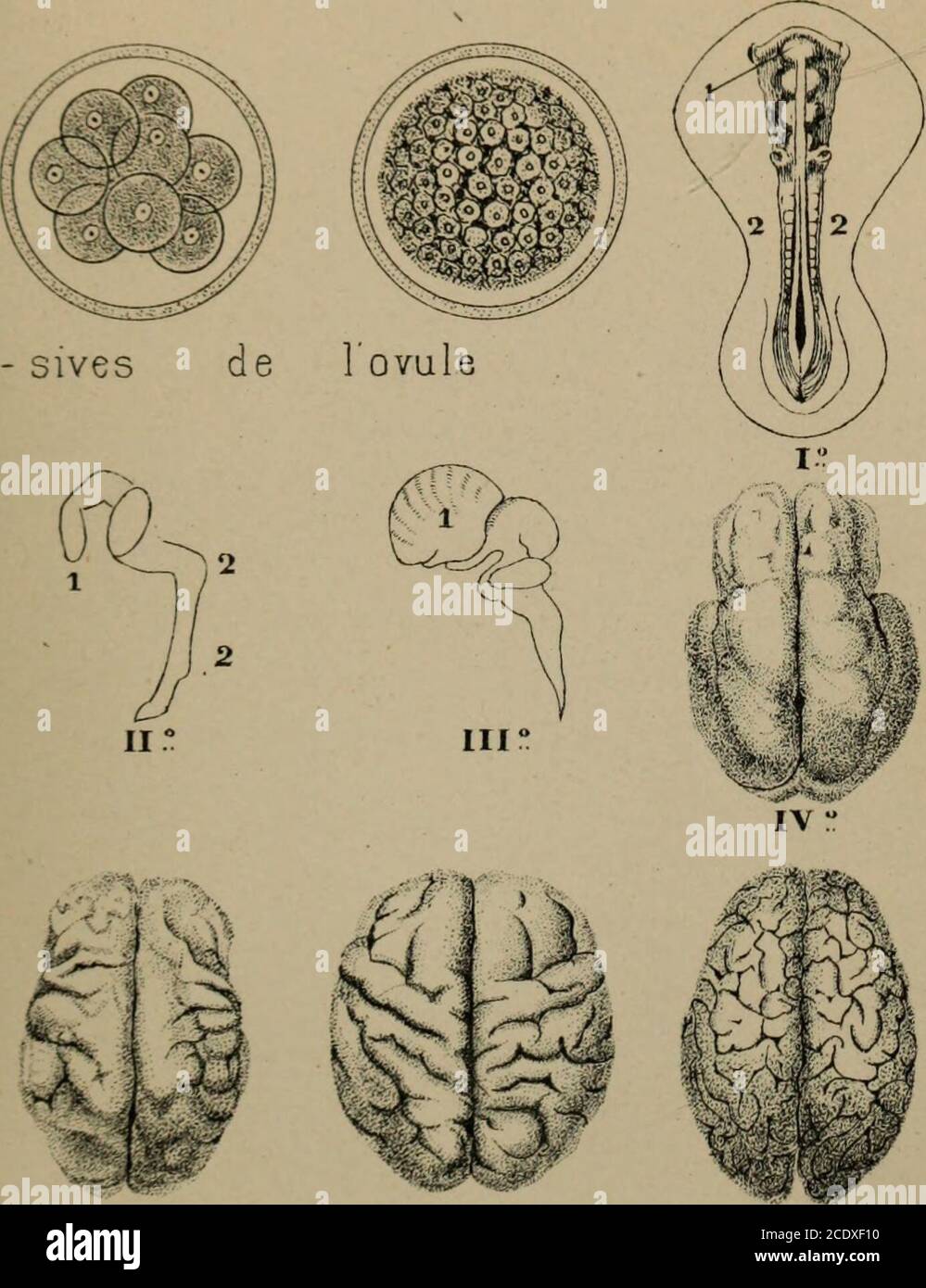 Bookidlmeestlafonc hi-res stock photography and images - Alamy