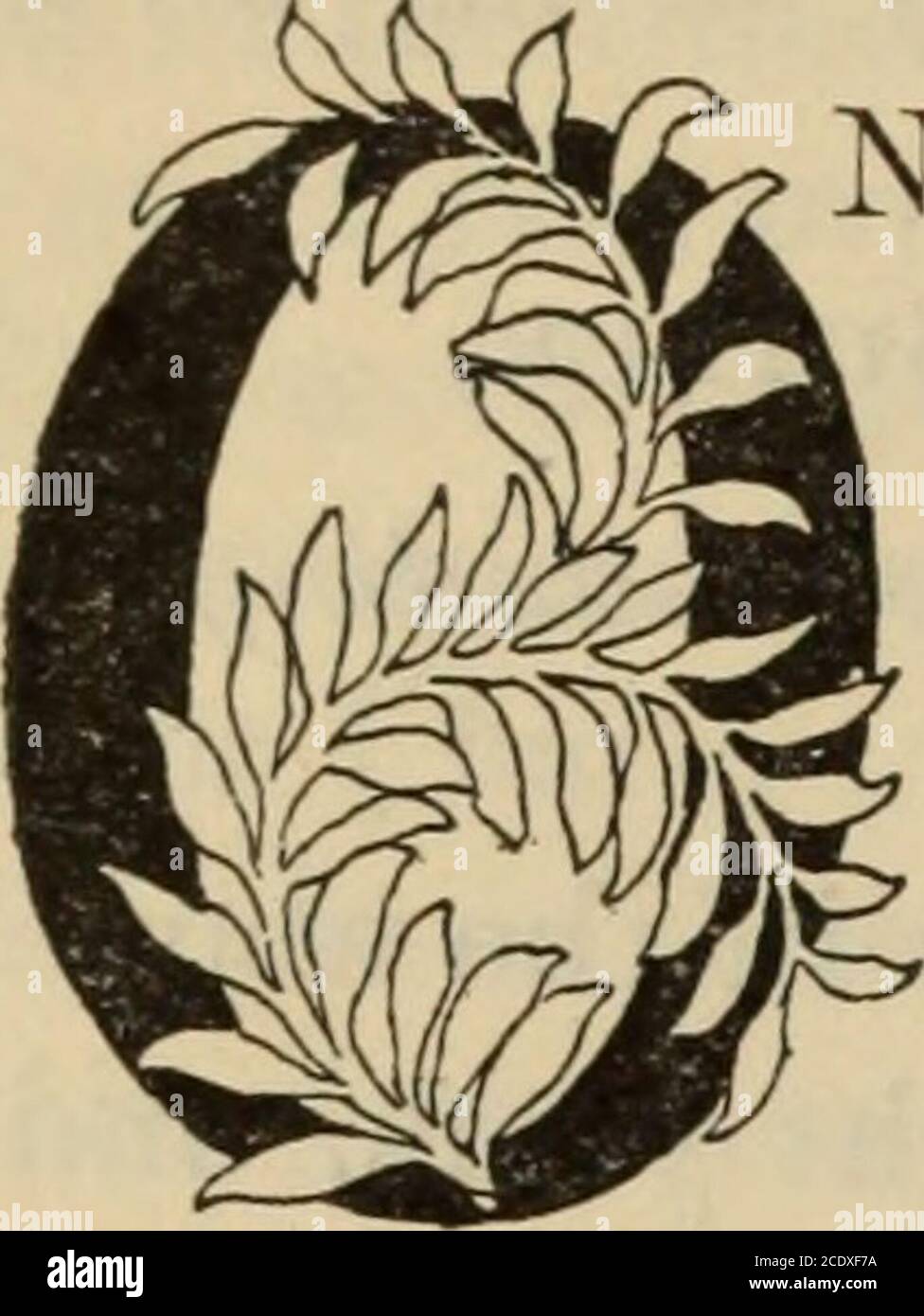 Imperium in imperio hi-res stock photography and images - Alamy