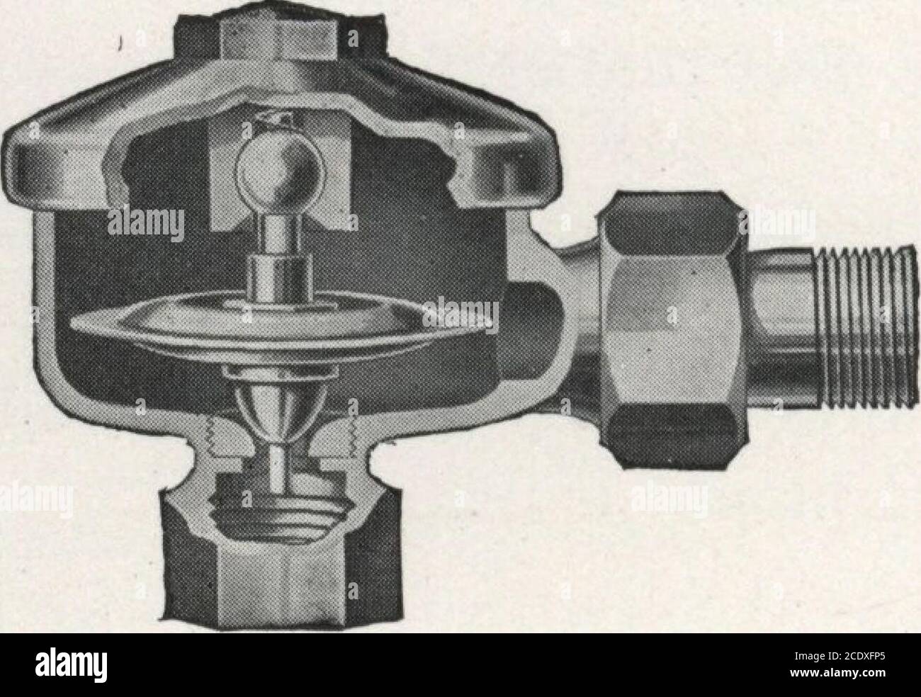 Packless hi-res stock photography and images - Alamy