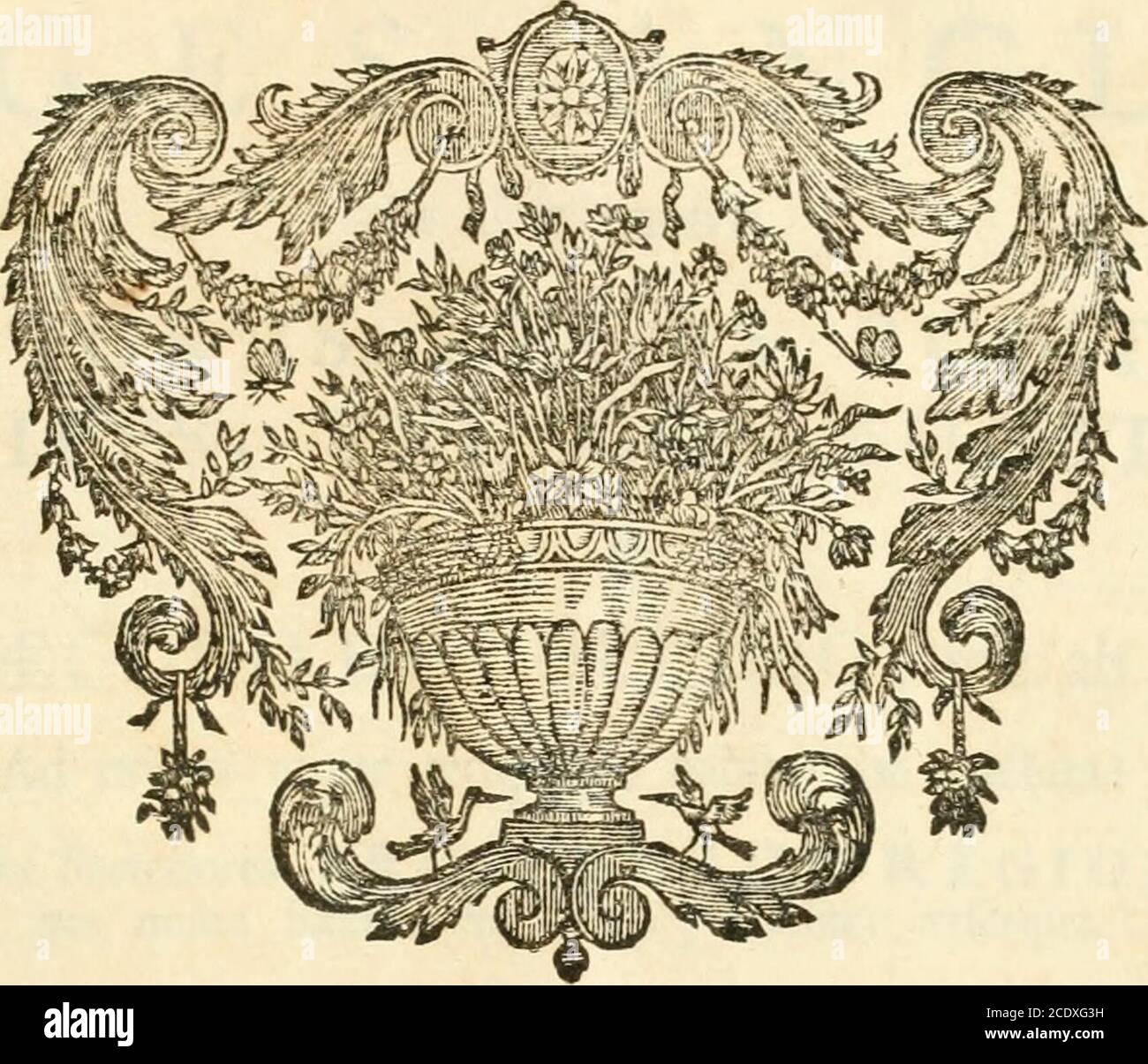 Armari hi-res stock photography and images - Alamy