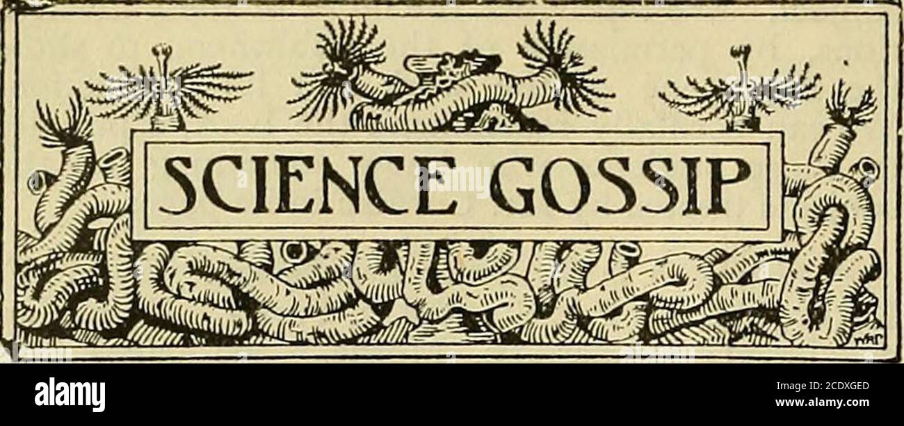 . Science-gossip . and Chemical Classification. In Chapter v ...