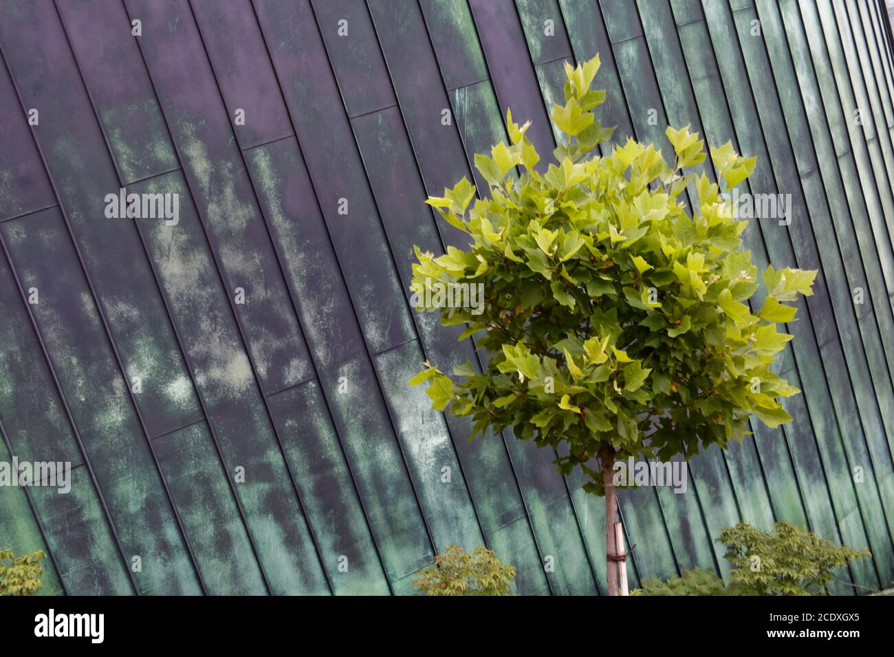 ING Bank headquarters in Katowice Stock Photo - Alamy