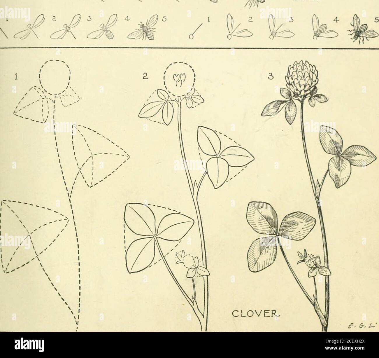 . Drawing made easy : a helpful book for young artists; the way to ...