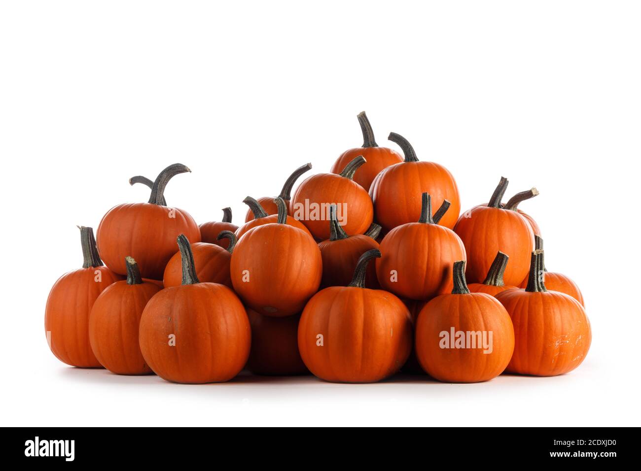 Many ripe pumpkins on vegetable Cut Out Stock Images & Pictures - Alamy