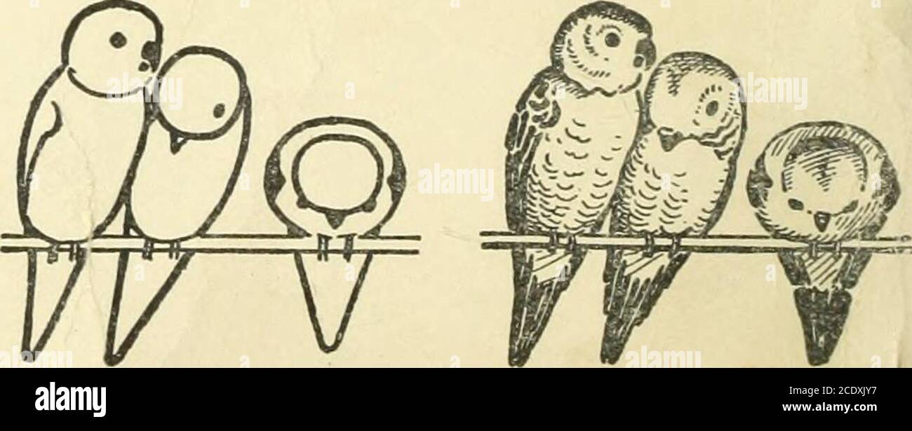 . Drawing made easy : a helpful book for young artists; the way to ...