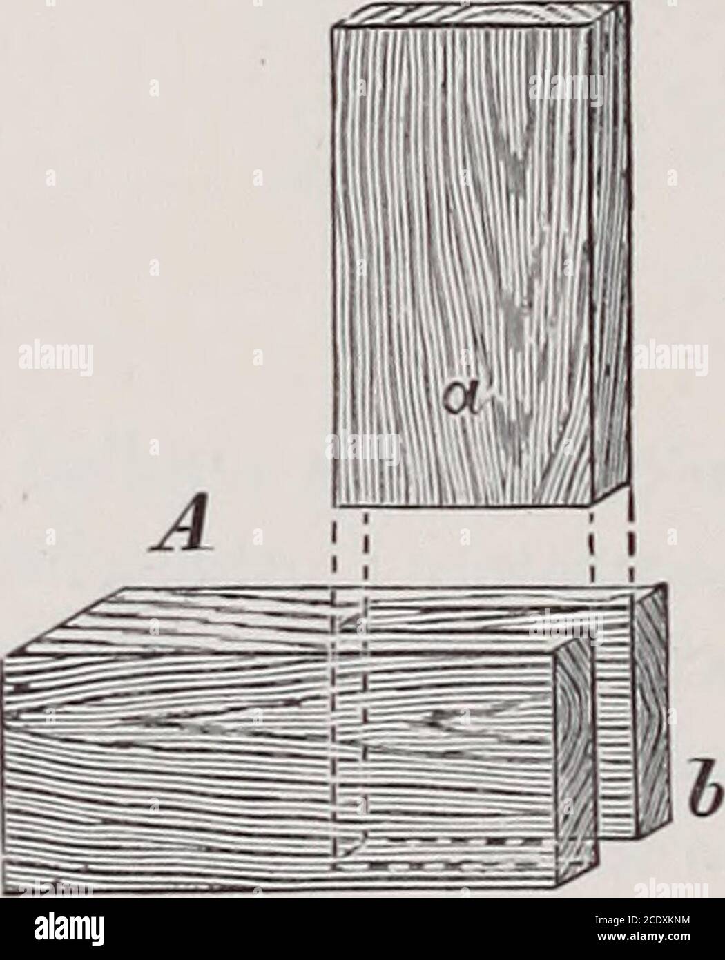 Bridle joint hi-res stock photography and images - Alamy