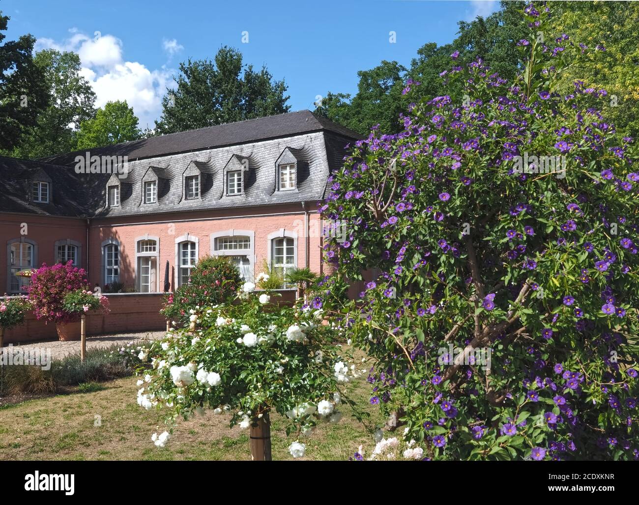 Romantic pink castle Schloss Wickrath in Moenchengladbach in Germany ...