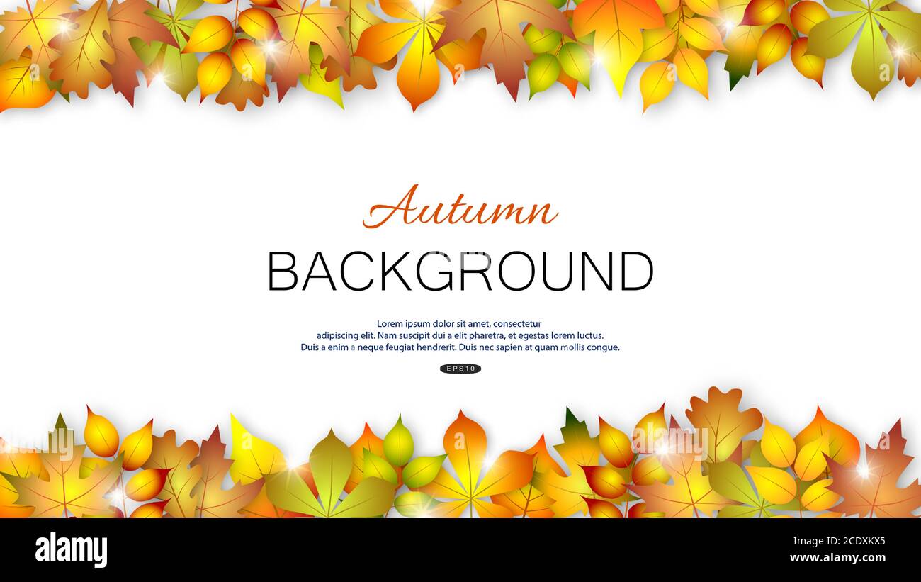 Autumn background with fall leaves and sunlights. Template for sale ...