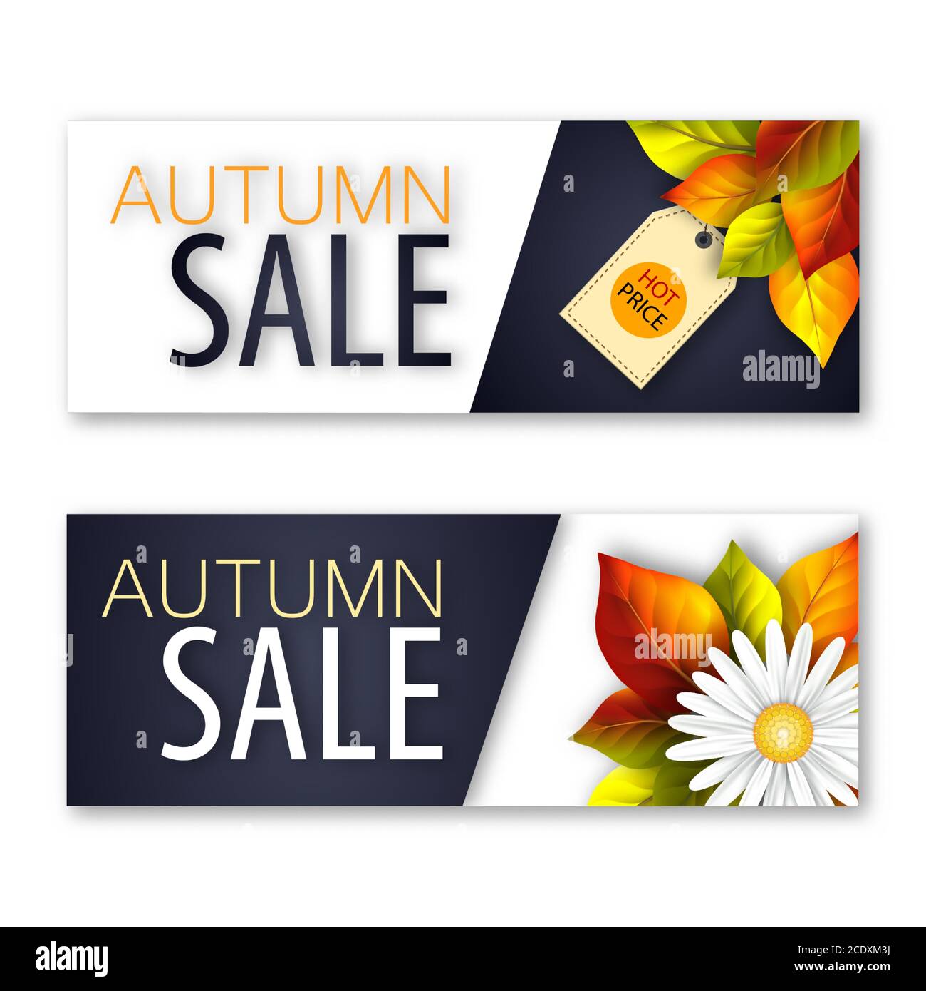 Set of autumn sale banners with realistic flowers and fall leaves ...