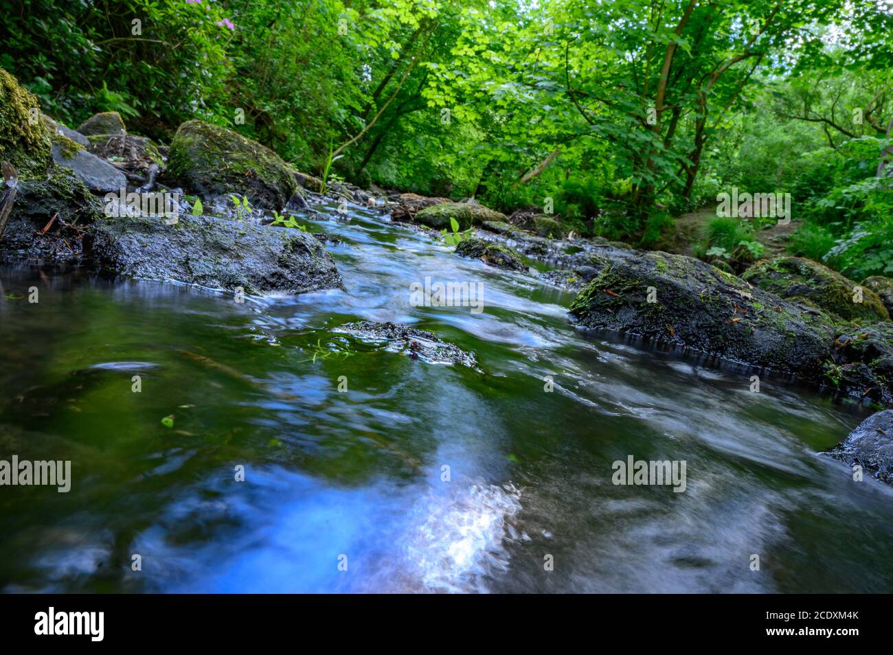 Worsley forest hi-res stock photography and images - Alamy