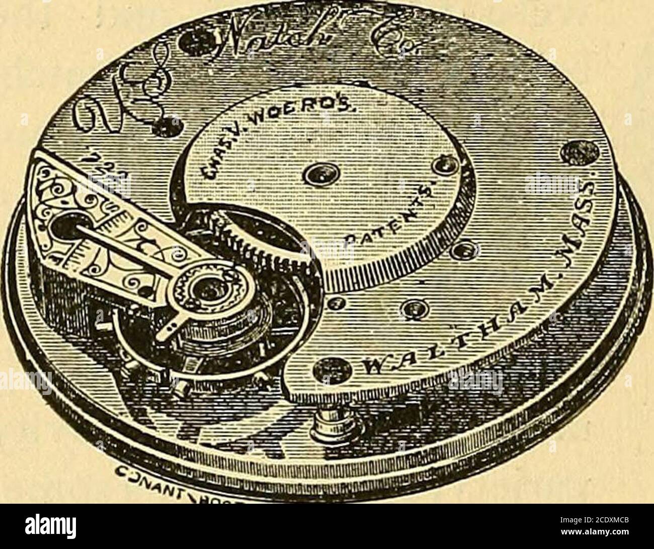 Woerd waltham mass hi-res stock photography and images - Alamy