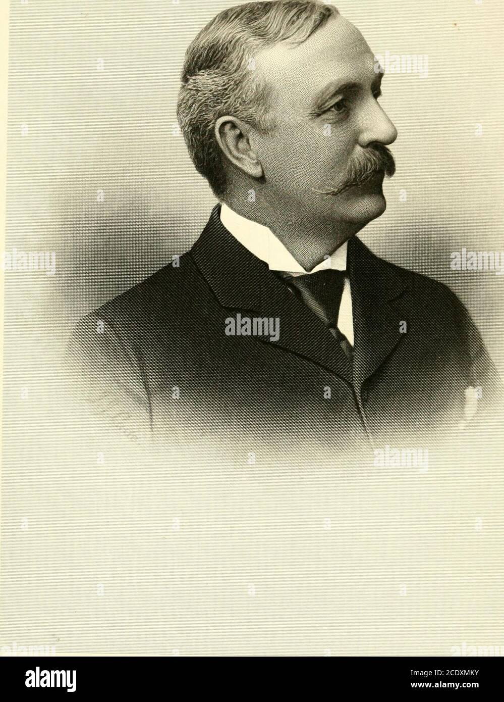 . Historical review of Chicago and Cook county and selected biography ...