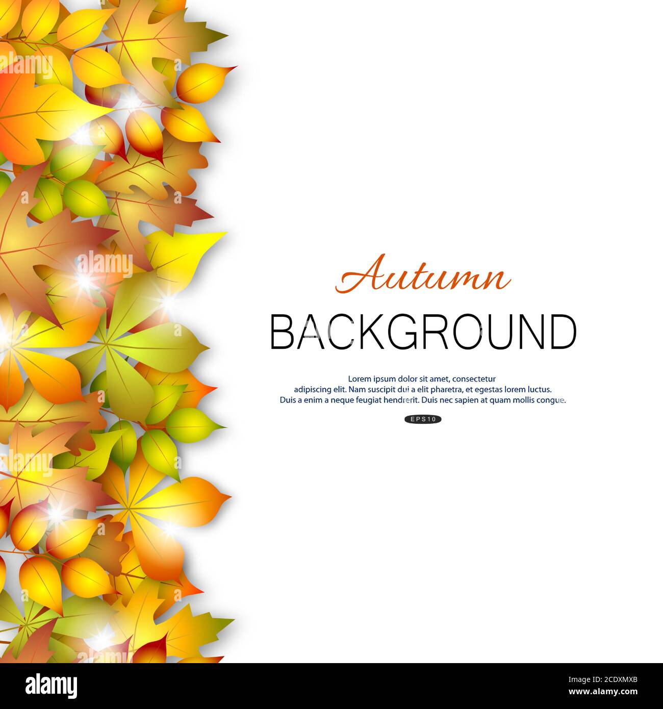 Autumn background with fall leaves and sunlights. Template for sale ...