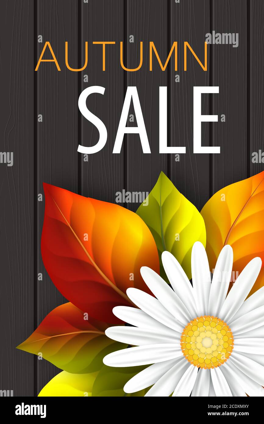 Autumn sale banner with colorful fall leaves. Vector illustration Stock ...