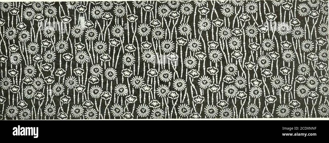 Indian gamboge tree hi-res stock photography and images - Alamy