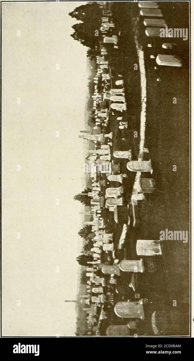 Sarah hester hi-res stock photography and images - Alamy