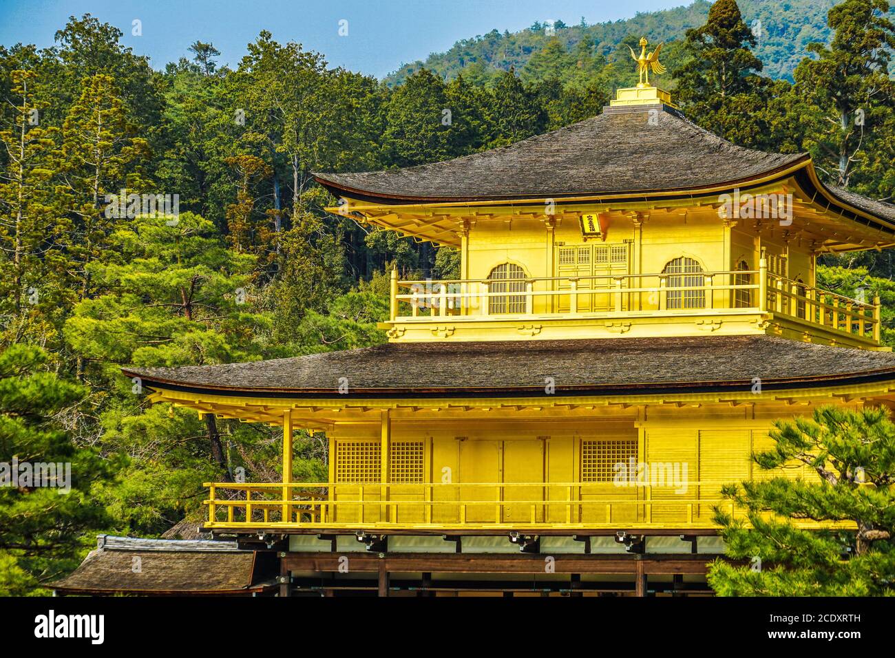Kyoto Golden Pavilion of the image Stock Photo - Alamy