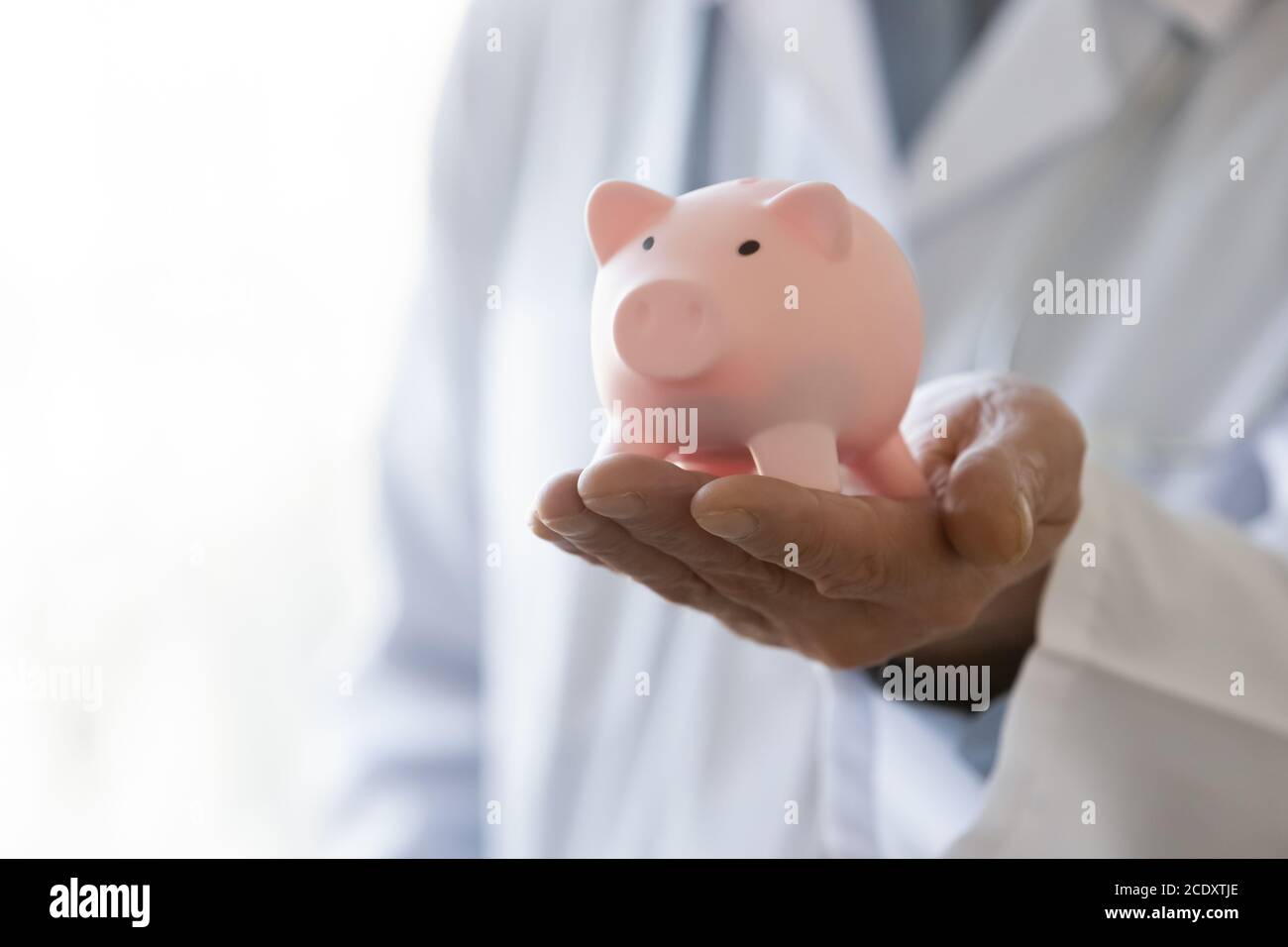 Mature pig hi-res stock photography and images - Alamy