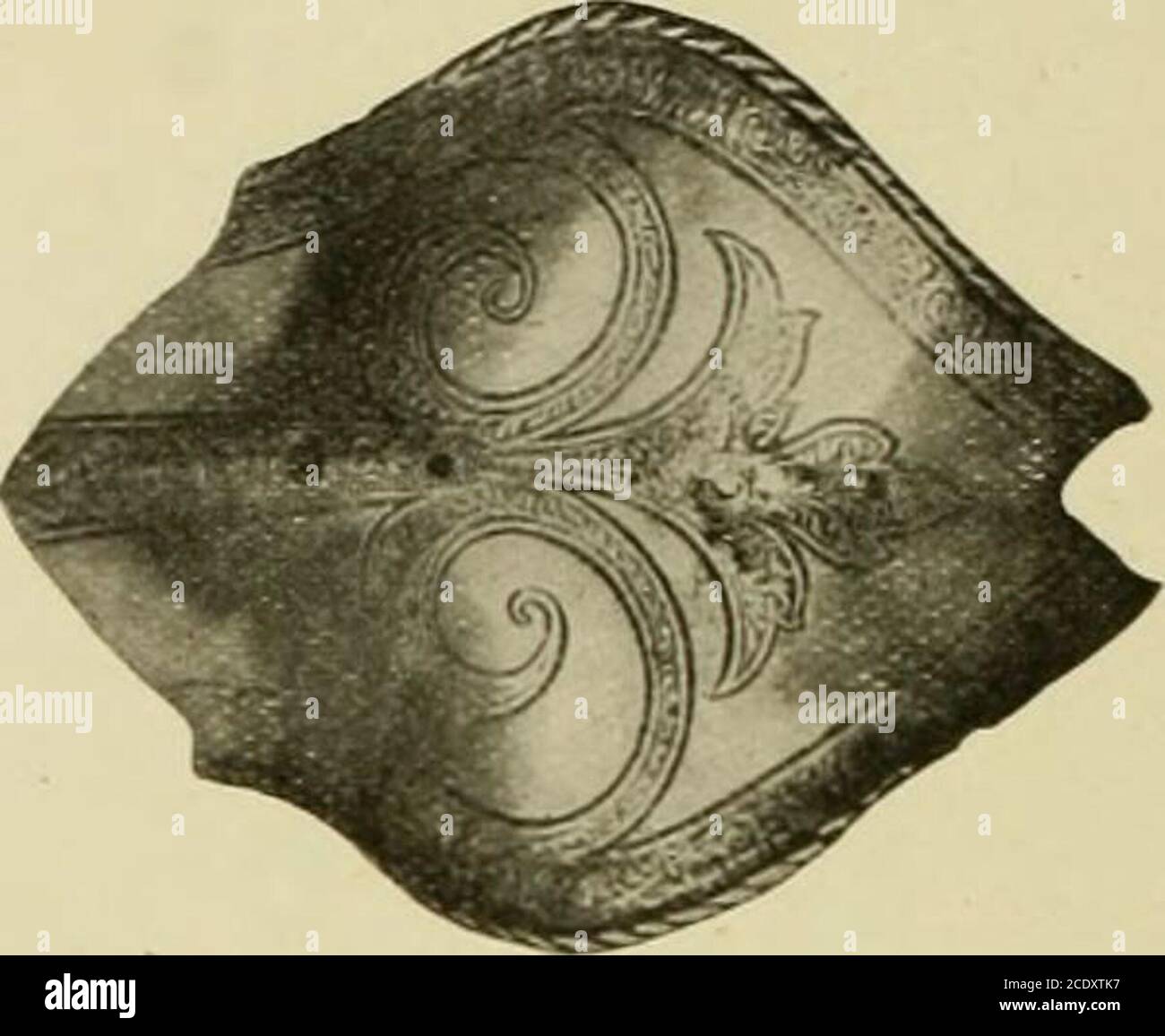 Engraved plate armour hi-res stock photography and images - Alamy