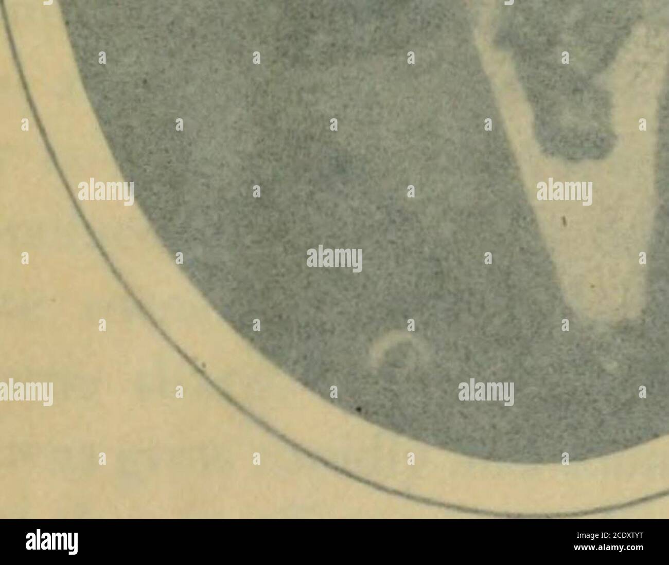 Bullard woods hi-res stock photography and images - Alamy