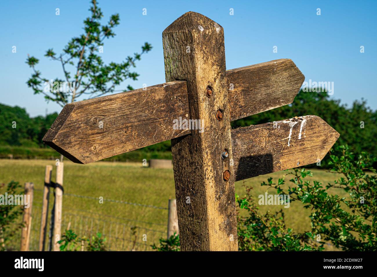 Old wooden signpost showing 3 way directions to nowhere abstract Stock ...