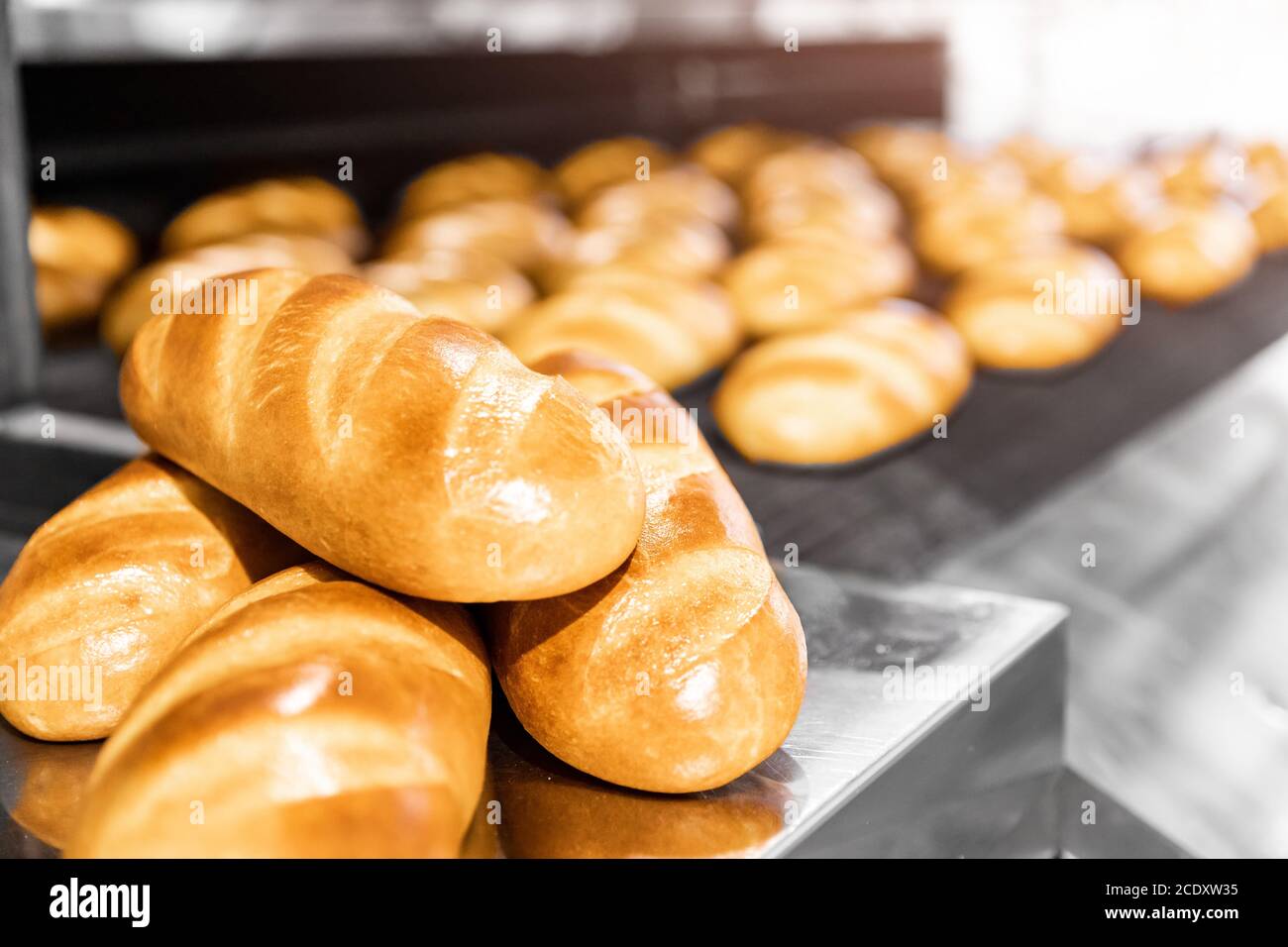 Automatic production line bakery Baked breads from hot oven Stock Photo ...