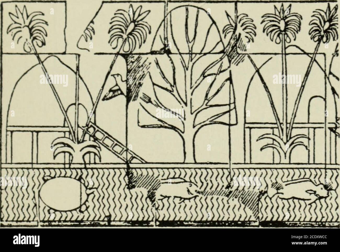 Land of punt egypt hi-res stock photography and images - Alamy