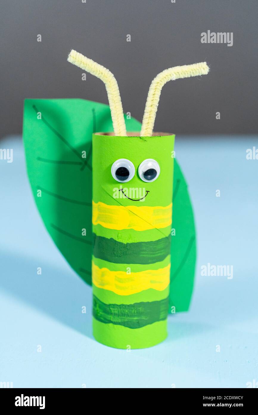 Papercraft project. Colorful bugs made out of empty toilet rolls Stock ...