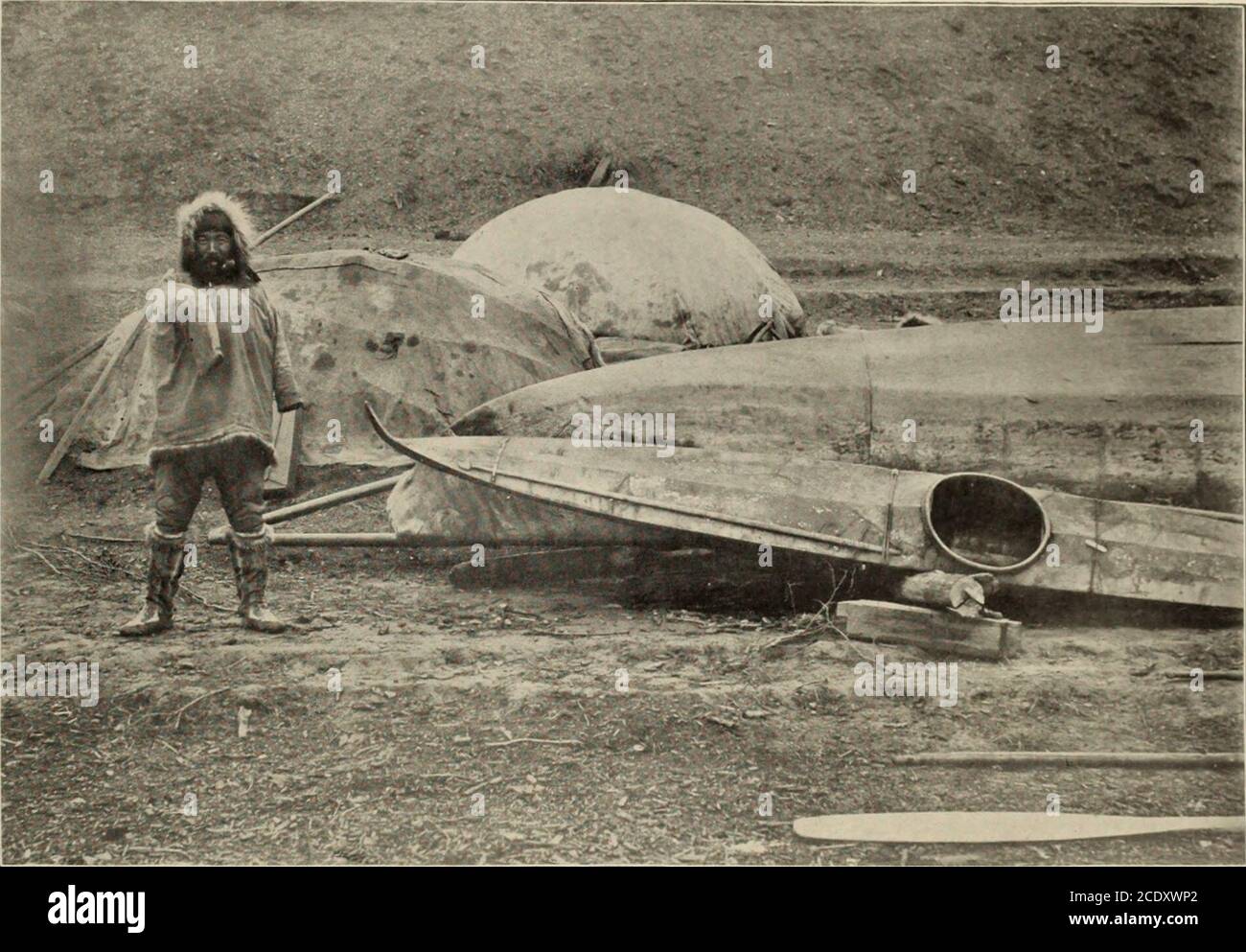Seal skin kayak hi-res stock photography and images - Alamy