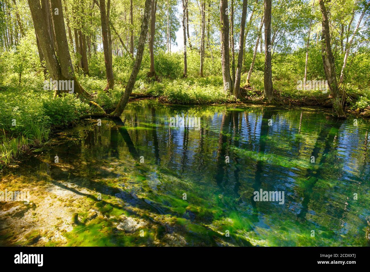 Freshwater springs hi-res stock photography and images - Alamy
