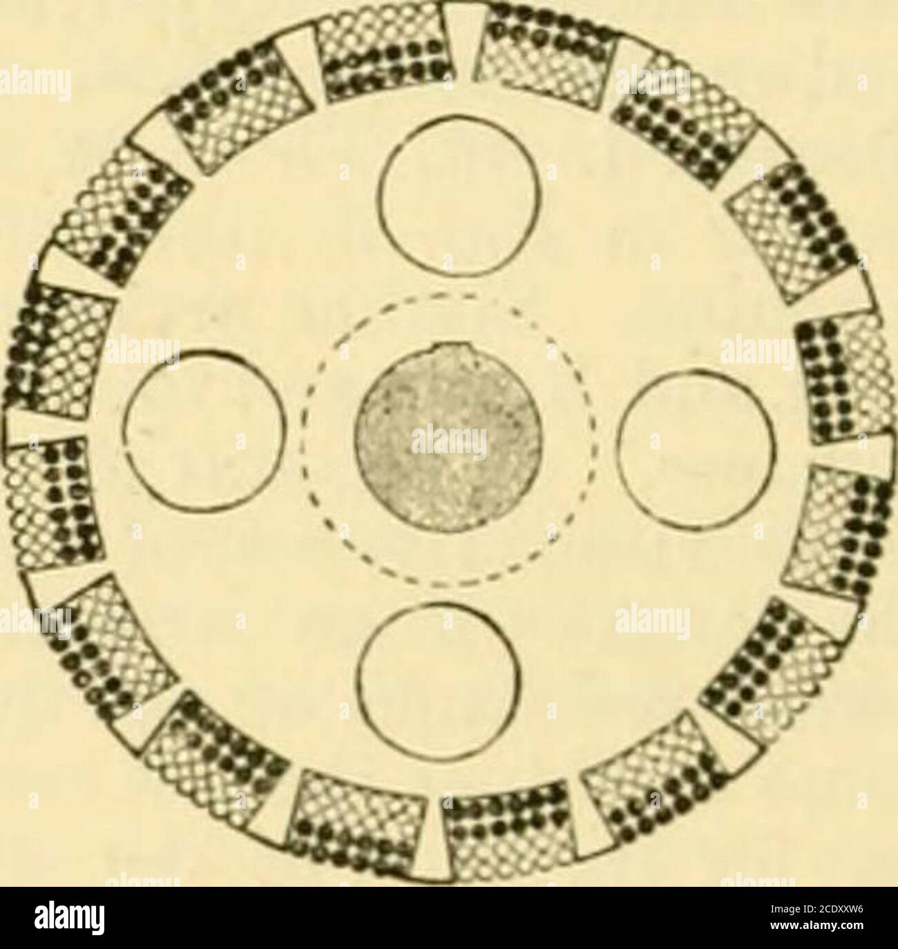 Ring armatures hi-res stock photography and images - Alamy