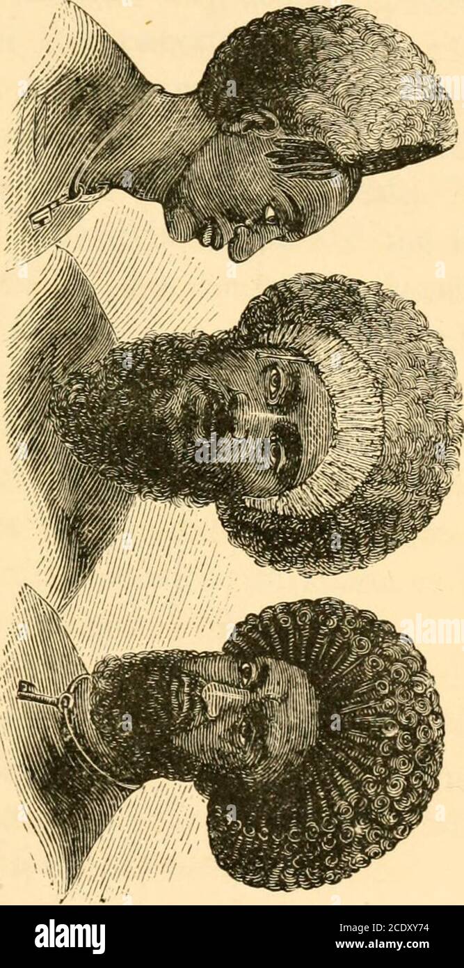 Queen of the cannibal islands hi-res stock photography and images - Alamy