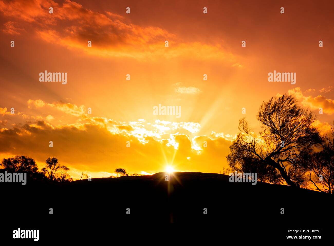 Australia outback night sky hi-res stock photography and images - Alamy