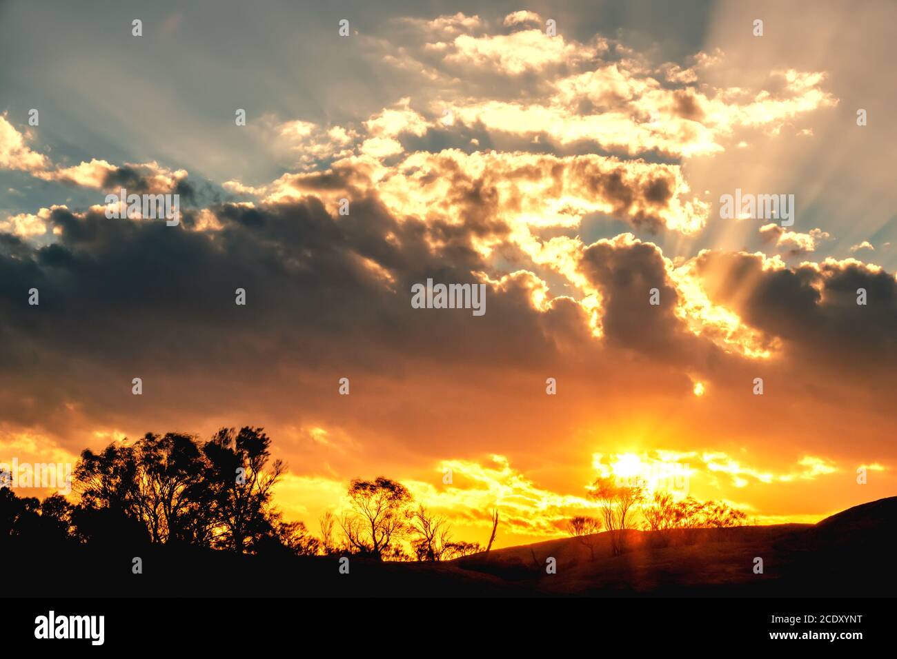 Australia outback night sky hi-res stock photography and images - Alamy