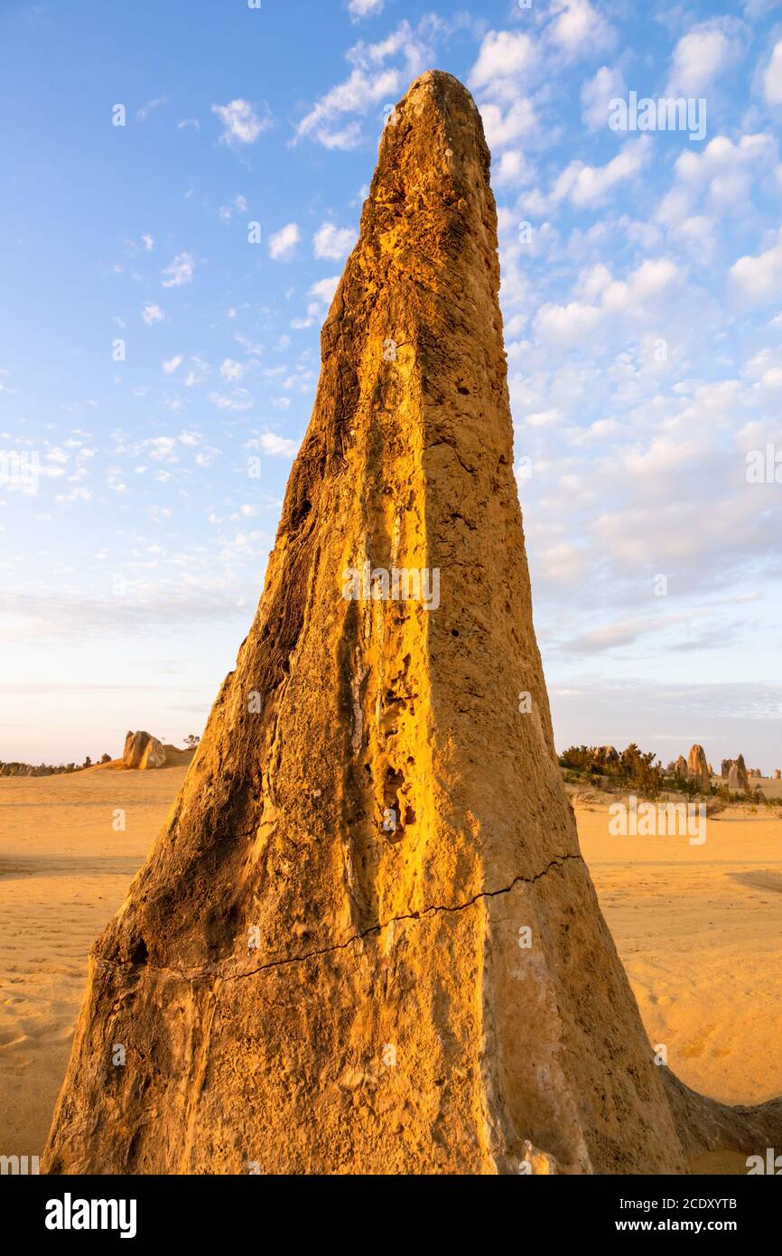 Pinnacles Desert in western Australia Stock Photo - Alamy