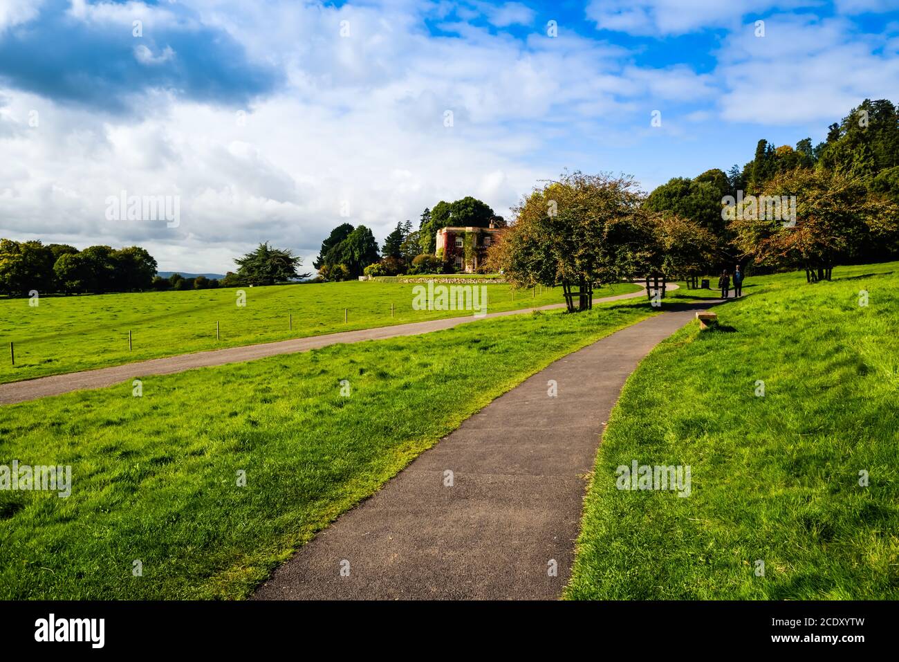 Killerton National Trust House and Garden in Devon Stock Photo - Alamy