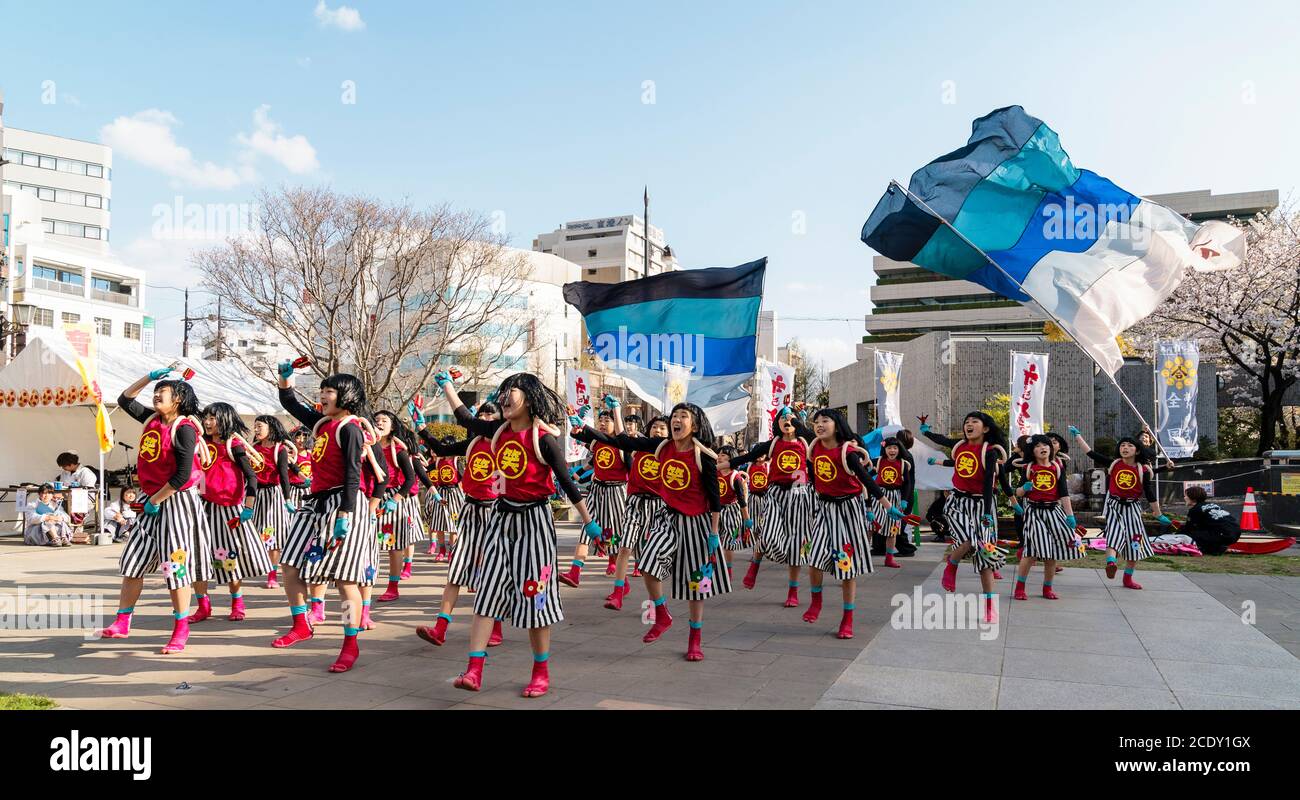 Team of Japanese child yosakoi dancers dancing while using naruko ...
