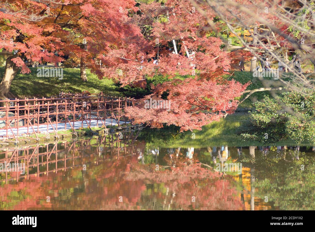 Fall color wide angle hi-res stock photography and images - Alamy