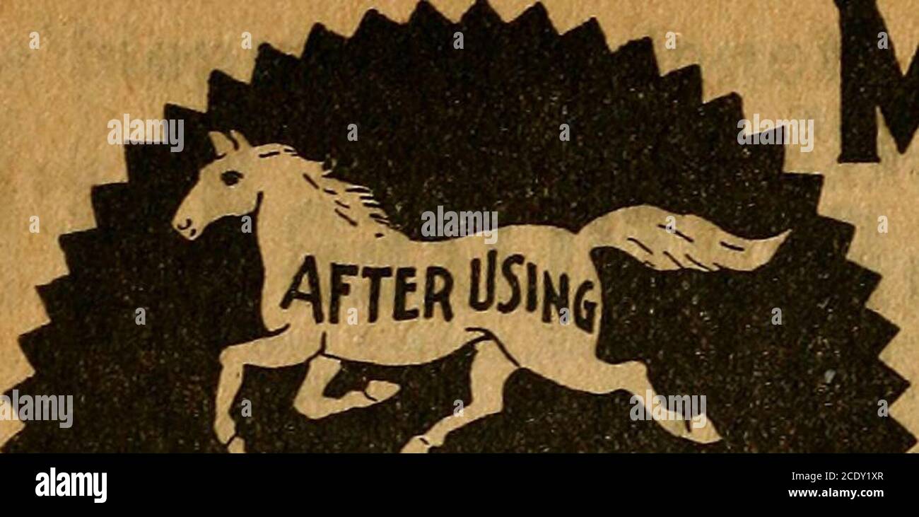 John maxton hi-res stock photography and images - Alamy