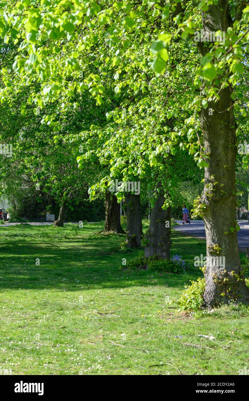 Worsley forest hi-res stock photography and images - Alamy