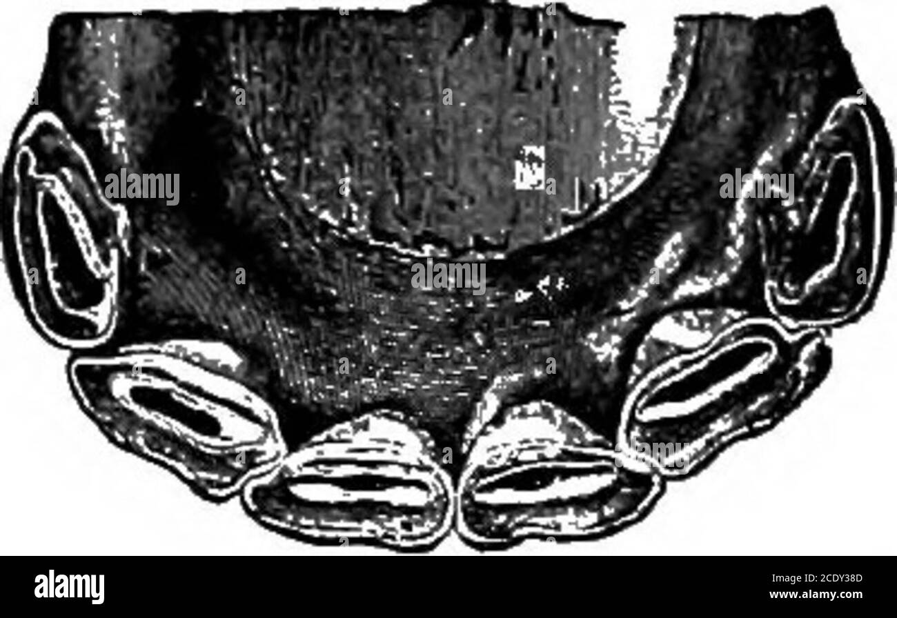 Permanent five Black and White Stock Photos & Images - Alamy