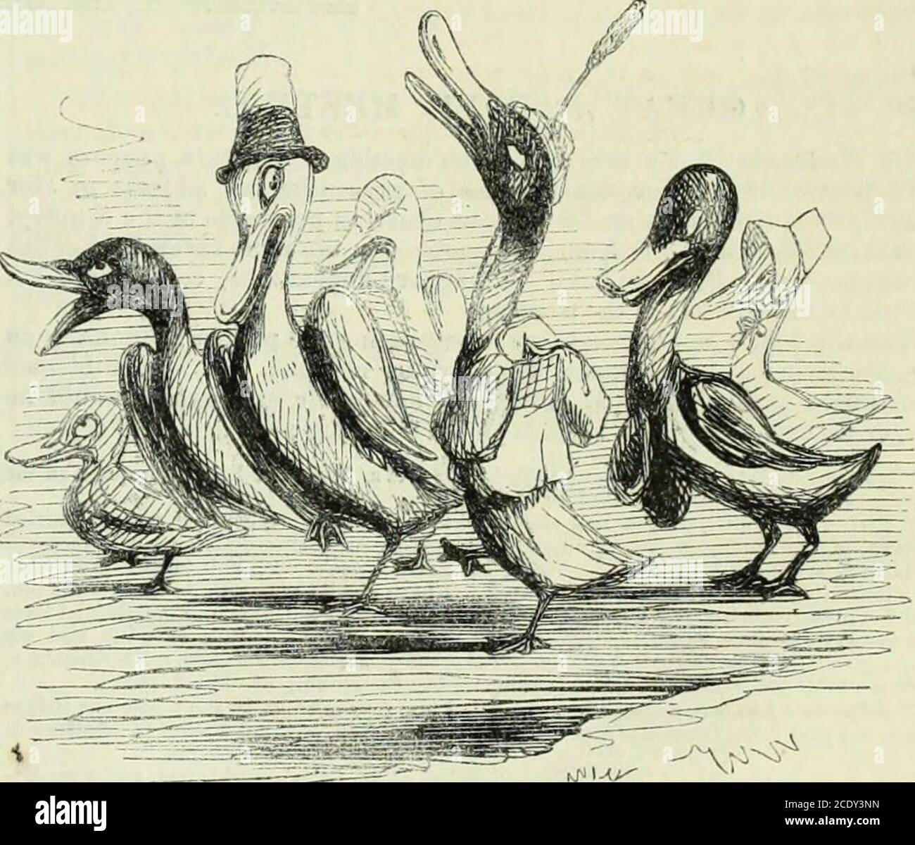 Contradictious hi-res stock photography and images - Alamy