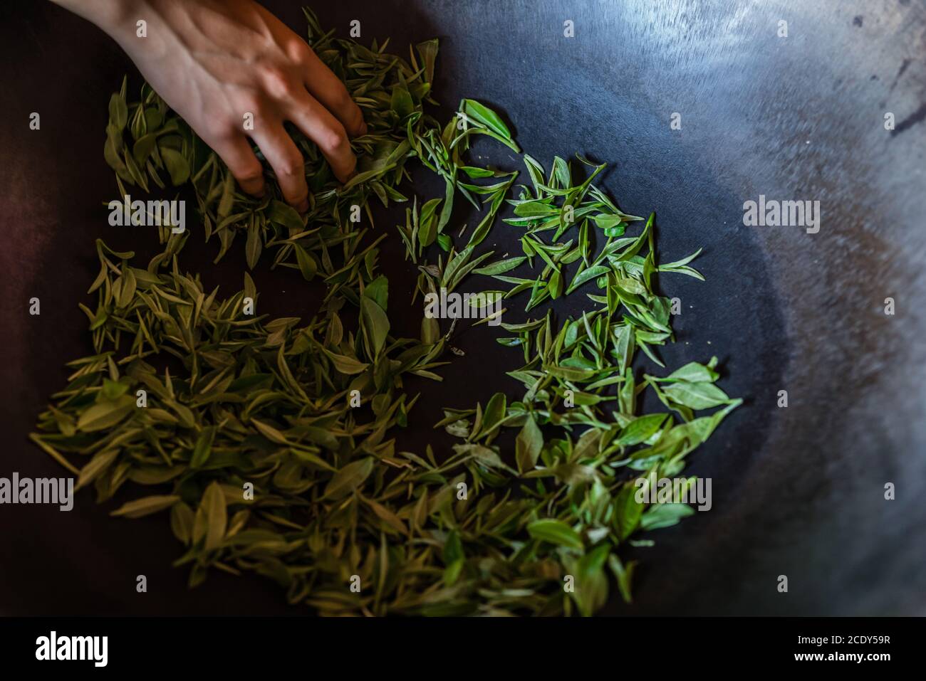 Processing tea leaves in a hot wok Stock Photo - Alamy