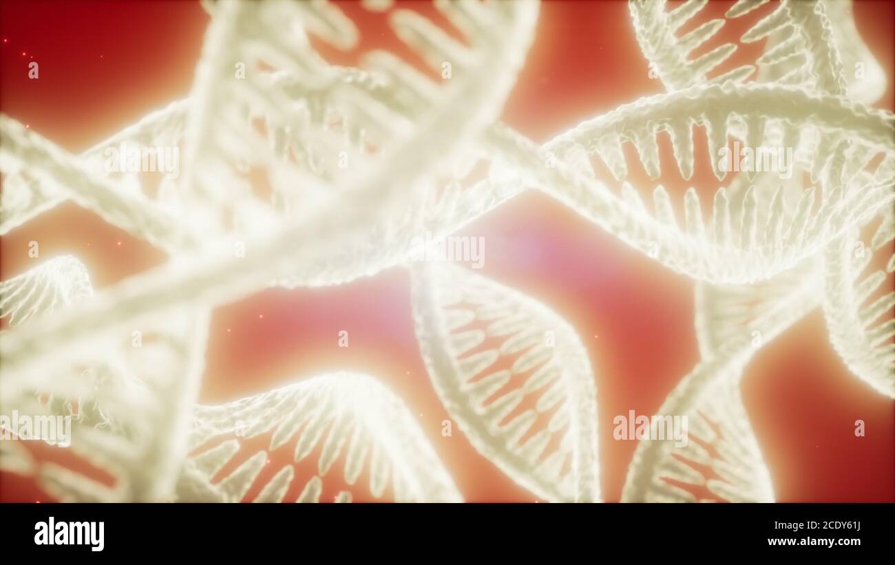 structure of the DNA double helix animation Stock Photo - Alamy