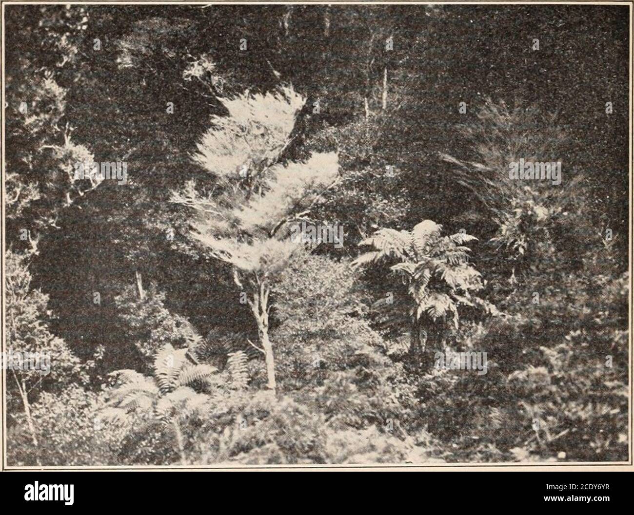 Mesozoic map hi-res stock photography and images - Alamy