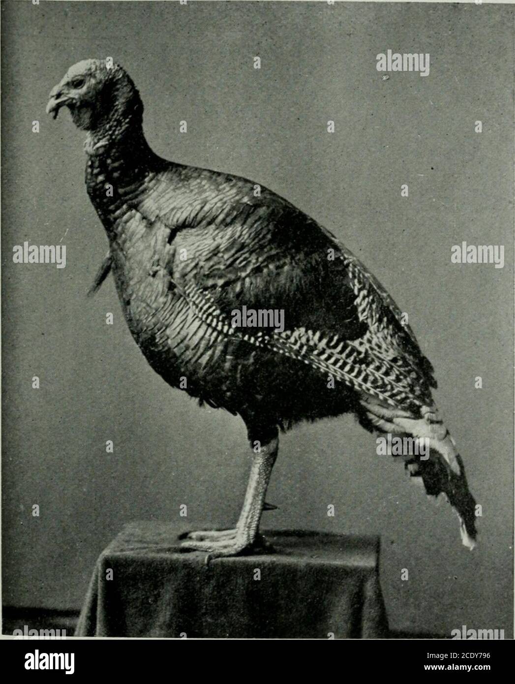 Uniformcolor hi-res stock photography and images - Alamy