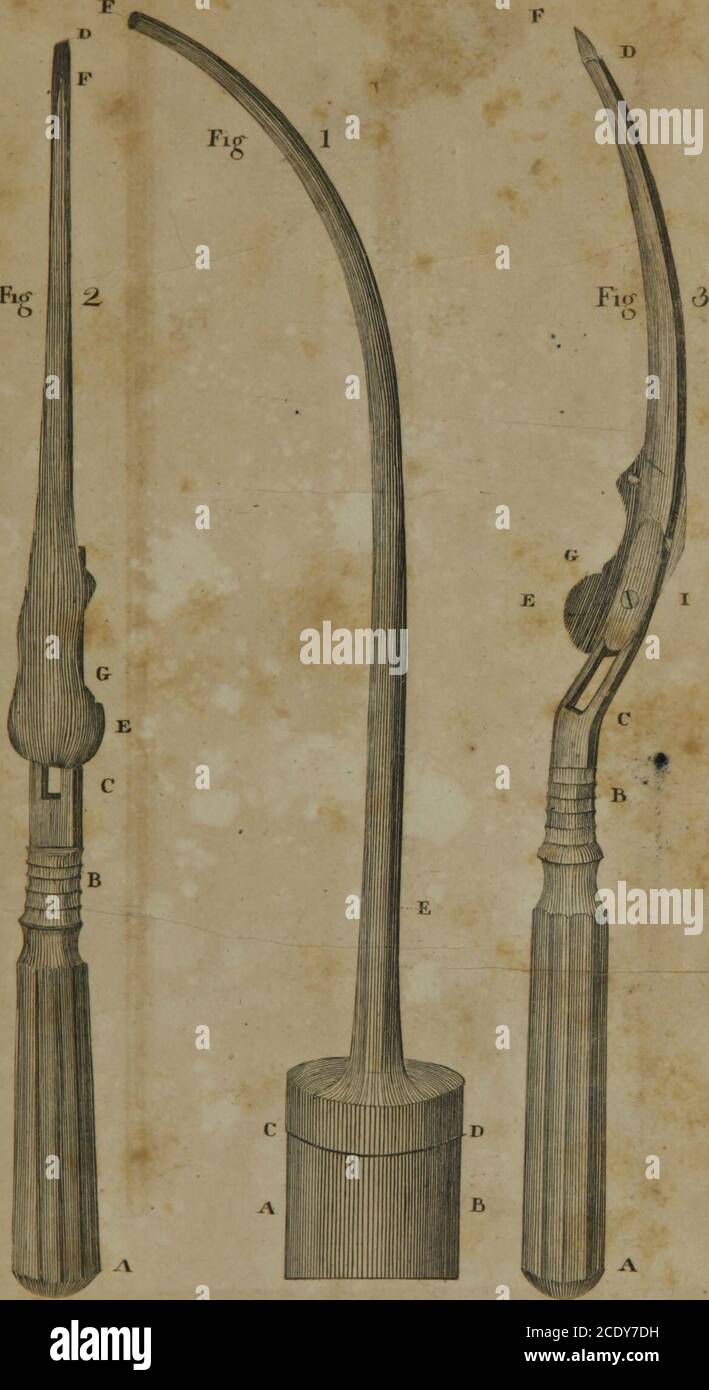 Fig rig hi-res stock photography and images - Alamy